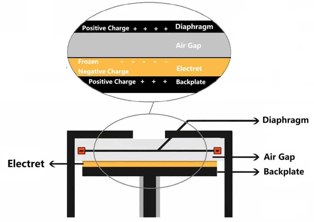 Prepolarized vs. Externally Polarized Microphones - Sound and Vibration ...